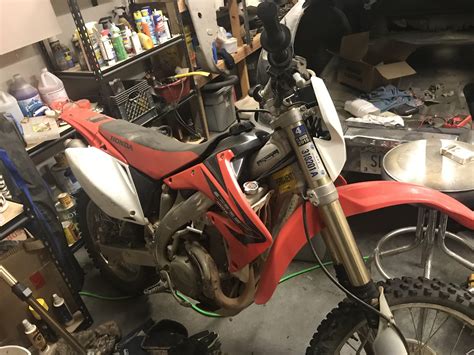 My Bones Have Proven Themselves In My Wrecks So Far But I Fear I Dont Have Much Time Left In