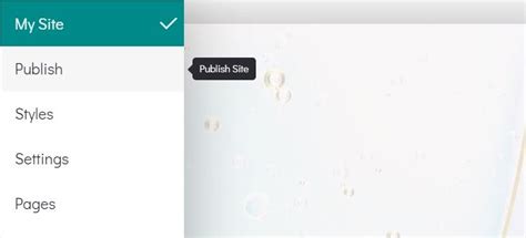 How To Publish A Site
