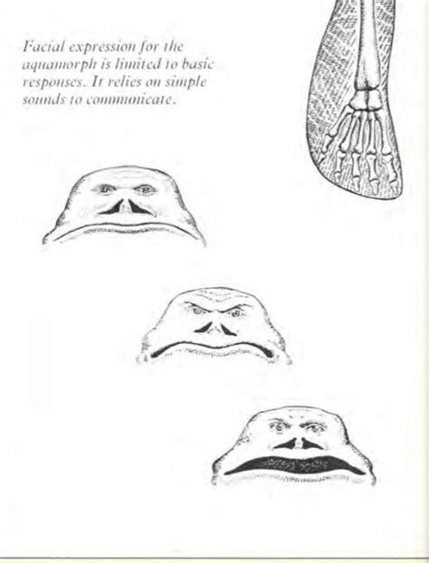 Speculative Evolution Fans Pls Be Mutuals By Totaldominator2 On Deviantart