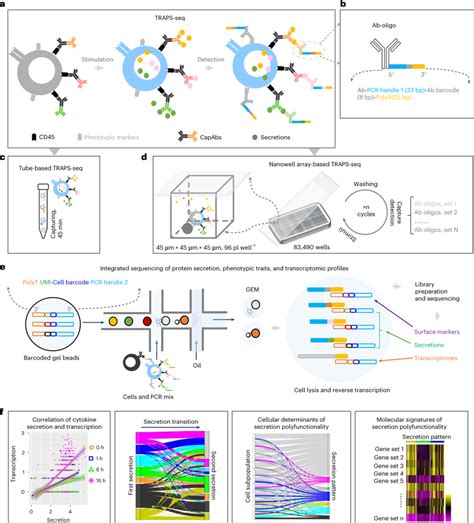 Schematic Representation Of Traps Seq Workflow Ab Cells Were Download Scientific Diagram