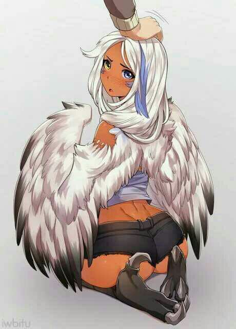Chat With Papi A Harpy