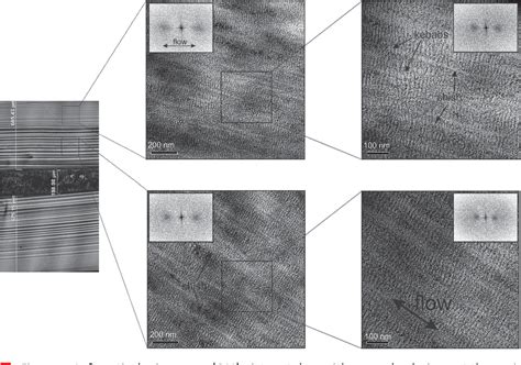 Figure 4 From Self Regulation In Flow Induced Structure Formation Of