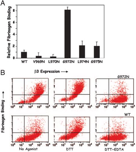 Effect Of Asn Substitutions In The Iib Tm Domain On Iib3 Function A