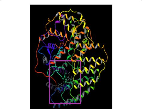 Receptor Grid Generated To Determine The Size Of The Active Site
