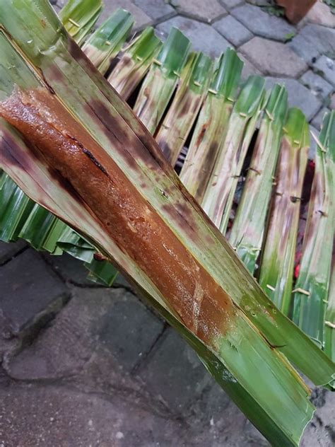 ขนมจาก Khanom Jaak Nipa Palm Dessert