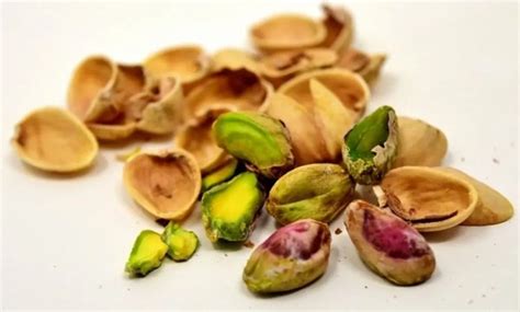 오늘의 견과류 피스타치오 효능 네이트뷰