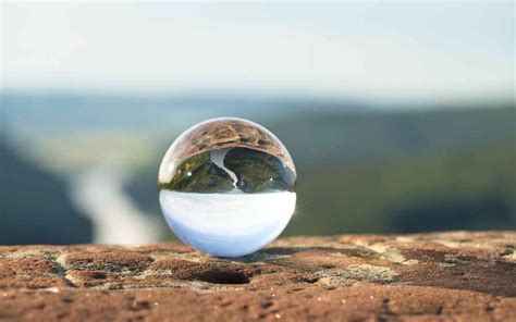 Technical Vs Adaptive Leadership Dzone Wiredgorilla