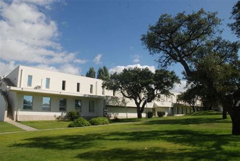 Ips Politécnico De Setúbal Abre 15 Novos Cursos Breves Na Área Da Saúde Mais Algarve