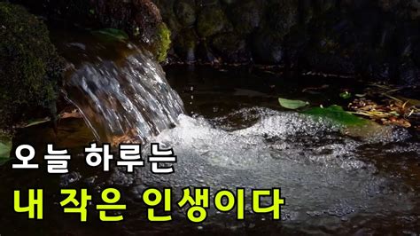 오늘 하루는 내 작은 인생이다 Youtube