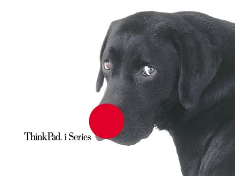 壁纸1024x768ibm电脑广告壁纸 Ibm电脑设计壁纸 Desktop Wallpaper Of Ibm Computer Series壁纸 Ibm电脑宣传壁纸壁纸图片 广告壁纸 广告图片