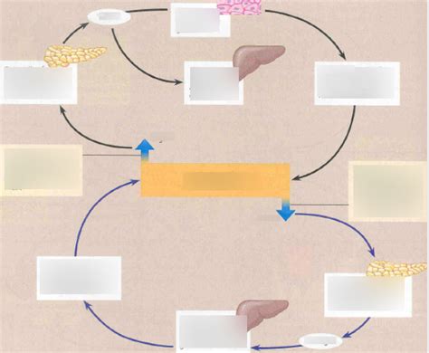 Diagram Of Science Quizlet