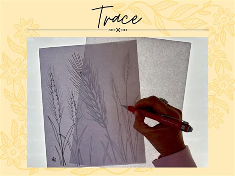 Wheat Grass Silhouette Drawing Pdf Digital Download Outline Template