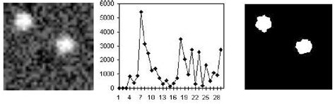 Figure 5 From Implementation Of Pulse Coupled Neural Networks In A
