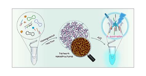 Amplified Assembly Of G Quadruplex Decorated Dna Network Nanostructure Toward Aie Signaling