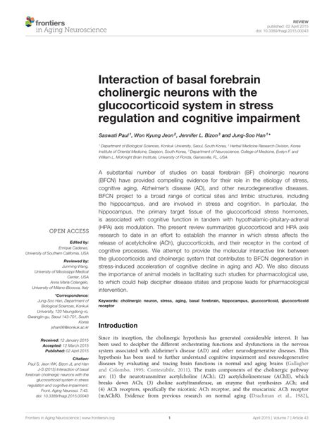 Pdf Interaction Of Basal Forebrain Cholinergic Neurons With The Glucocorticoid System In