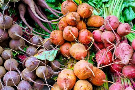 Beetroot Variety Stock Photo Image Of Root Grocery