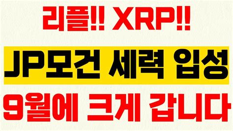 이제 진짜 얼마 안 남았네요 고생 많으셨습니다 리플전망 Youtube