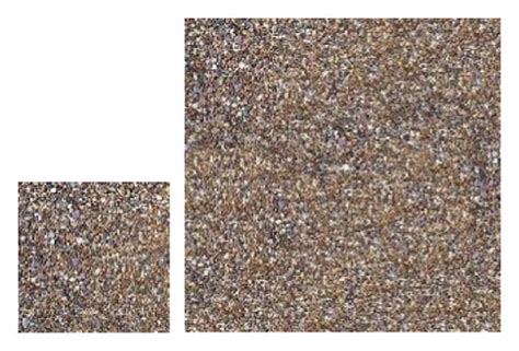Examples Of Synthesizability Scores Predicted For Textures At Different Download Scientific