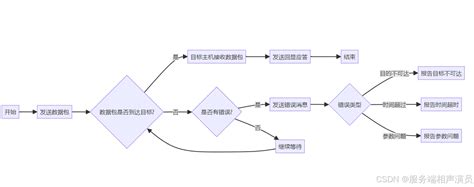 Ping到底干了啥？icmp 协议详解icmp请求 Csdn博客