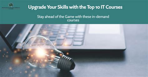 Top 10 Computer Course After Degree Renaissance University