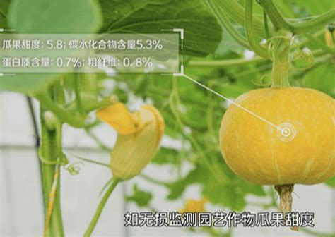 无代码ai平台 Growthbrain智农云芯agribrain
