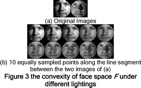 Figure 3 From Illumination Modeling And Normalization For Face Recognition Semantic Scholar