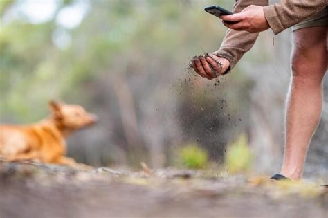Premium Photo University Babe Conducting Research On Forest Health Farmer Collecting Soil