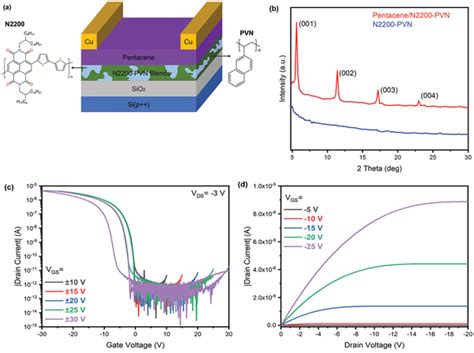 a schematic drawing of pentacene‐based nonvolatile memory structure