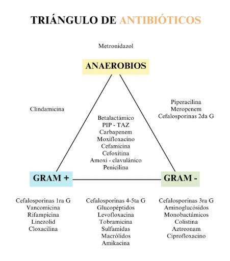 Enfermeria Virtual Triangulodeantibioticos Es Un Esquema Didáctico
