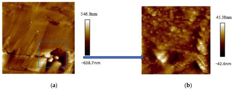 Three Dimensional Pore Structure Characterization Of Bituminous Coal