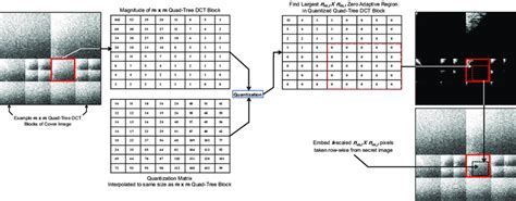 Quantization Of Each Individual M × M Cover Image Dct Quad Tree Block Download Scientific