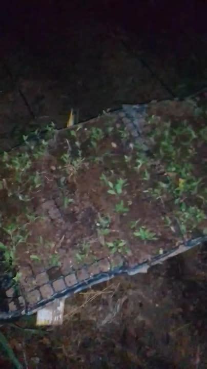 [video] Jeffrey Makhubele On Linkedin Voltalia Wayne Carolus Nuraan