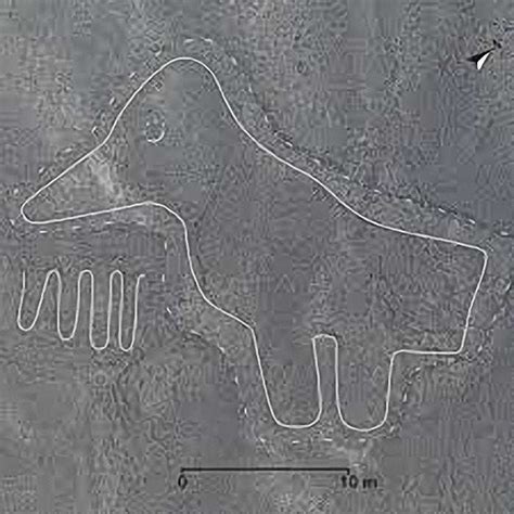 ナスカの地上絵 新発見と JINさんの陽蜂農遠日記 楽天ブログ