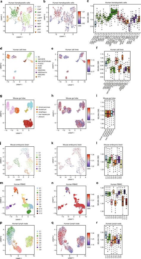 Powerful New Tool To Advance Genomics Disease Research Science Tech Updates