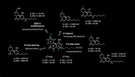 A Few Common Structural Modifications And Their Impact Structural