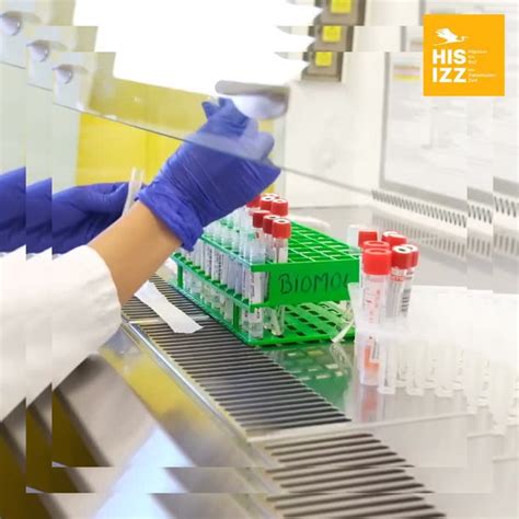 Hôpitaux Iris Sud Iris Ziekenhuizen Zuid On Linkedin Laboratoire His I Laboratorium Izz