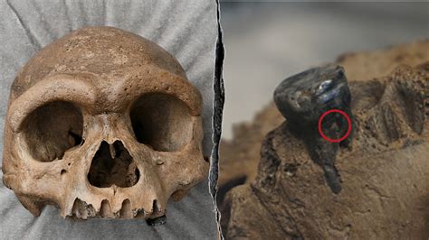 146 000 Year Old Skull Identified As Denisovan Not A New Human Species