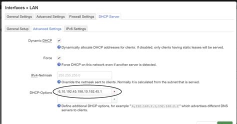 luci interfaces lan dhcp server advanced persistance routers glet