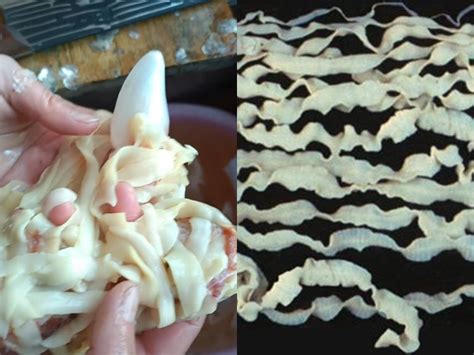 女子宰杀鲫鱼发现鱼肚里一堆“面条”，专业人士：疑似阔节裂头绦虫，吃淡水鱼生需谨慎寄生虫夏女士刘文琪