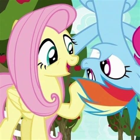 Rainbow Dash X Fluttershy On Tumblr