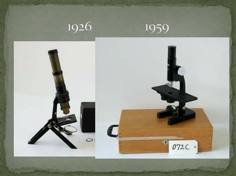 PPT Microscopes And The Cell Theory PowerPoint Presentation Free Download ID