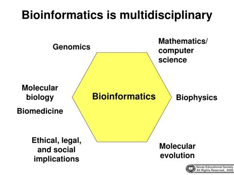 Ppt Module 1 Introduction To Bioinformatics Powerpoint Presentation