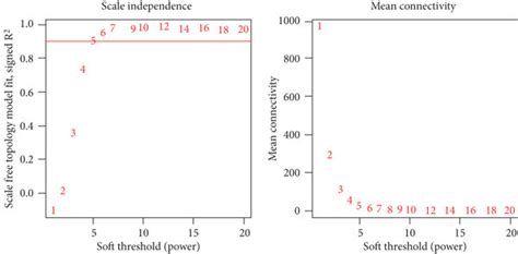 Construction Of The Weighted Gene Coexpression Network Analysis A Download Scientific
