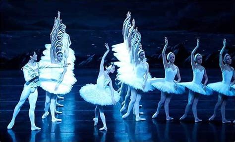 백조와 흑조의 쌍무가 돋보이는 발레 공연