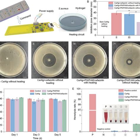 Antibacterial Biocompatibility And Hemocompatibility Of The Wp A Download Scientific