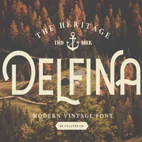 delfina modern vintage font masterbundles