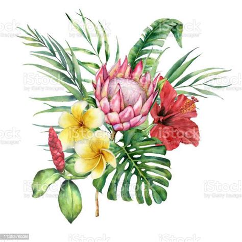 수채화 열 대 꽃과 나뭇잎 꽃다발입니다 손으로 그린 프로 테아 히 비 스커 스와 플 루 메리 아 흰색 배경에 고립 자연 식물 그림 디자인 인쇄에 대 한 현실적인 섬세 한