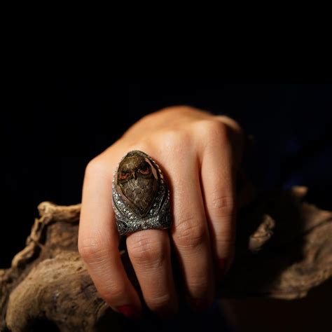 Sevan Bicakci On Instagram “owls Are Known For Their Choice Of