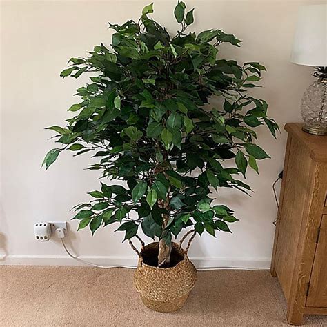 Artificial Ficus Tree Plant Green Bushy Ficus 120cm Gold Metal Planter
