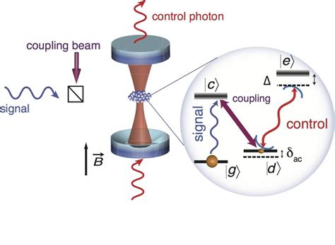 Research Our Group Has Recently Moved To Northwestern University Purdue University